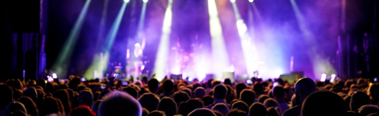 Ear Plugs for Concerts, Music Events and Musicians